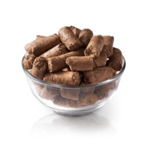 Plantation Coco Indonesia - Coconut From Indonesia