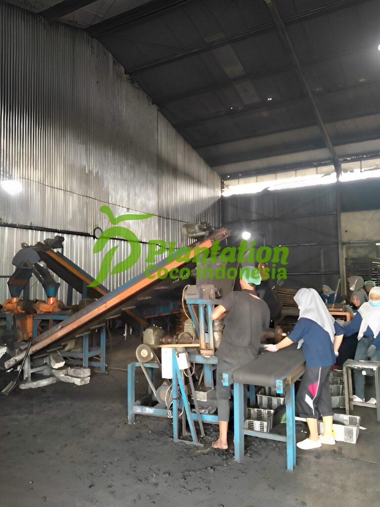 Plantation Coco Indonesia - Coconut From Indonesia